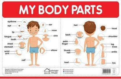 My Body Parts: Buy My Body Parts by unknown at Low Price in India ...