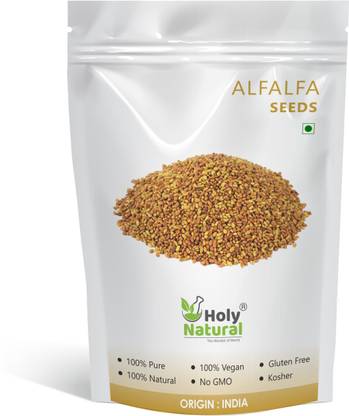 Holy Natural Alfalfa Seeds - 100 GM Alphalpha Seeds Price in India ...