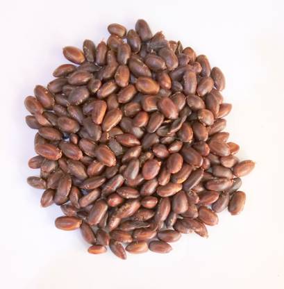 Green World RAIN TREE / SAMANEA SAMAN / MONKEY POD SEEDS FOR FARMING ...