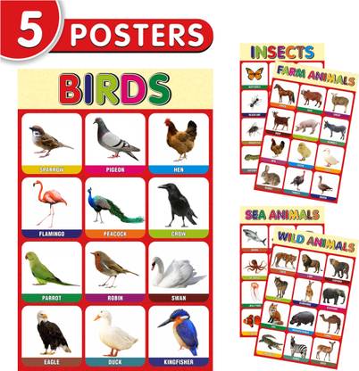 Early Learning Posters for Kids Preschool Includes Birds , Insects ...
