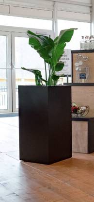 Niche planters NFP 303 Square 24 black Plant Container Set Price in ...