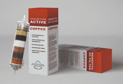 Blueshell ALKALINE COPPER FILTER ACTIVE FOR RO WATER PURIERS WITH 2 ...