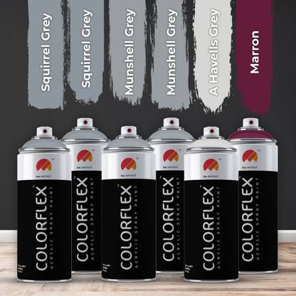 colorflex Squirrel Grey, Munshell Grey & A Havells Grey, Marron Spray ...