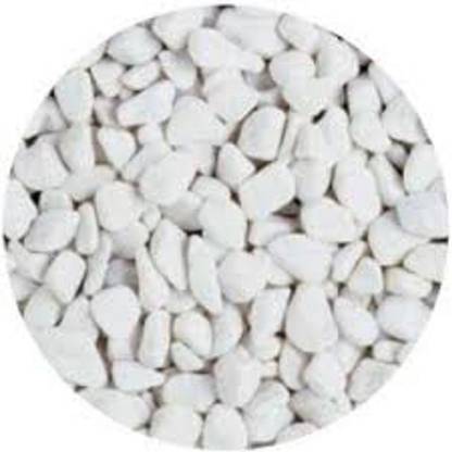 HEALTHY AND LOVING PETS White Polished Pebbles for Aquarium | Shiny ...