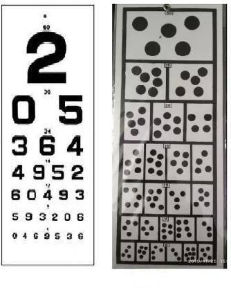 ECP eye testing "Number" and "Dot" Vision Test Chart Price in India ...