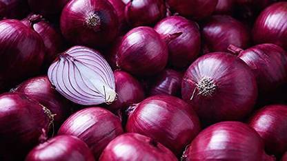KANAYA Onion Red Kanda Vegetable Seed Price in India - Buy KANAYA Onion ...