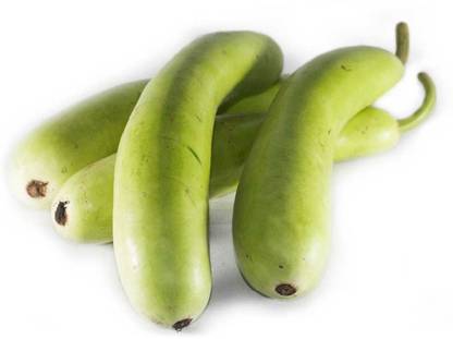 Organic Galaxy Fresh VNR Botlle Gourd (lokki) Vegetable Hybrid Seed ...