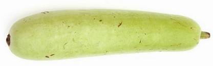 Organic Galaxy Upl Bottle-Gourd (lokki) Vegetable Hybrid Variety Seed ...