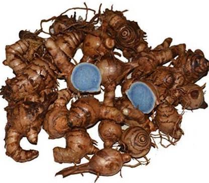 Pioneer Natural Kari Manjal, Kali Haldi, Kala Haldi, Naru Kachora Seed ...