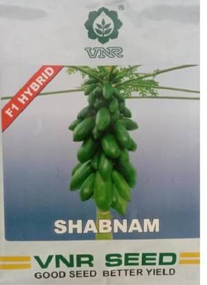 Pushpa shabnam hybrid papaya Seed Price in India - Buy Pushpa shabnam ...