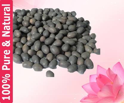 Darshan Sandhya Premium Quality Lotus Seeds, Kamal Gatta, Kamal Bheej ...