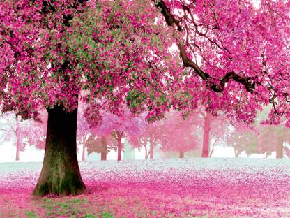 HD PRINT HOUSE Vinyl Nature Multicolor Wallpaper Price in India - Buy ...