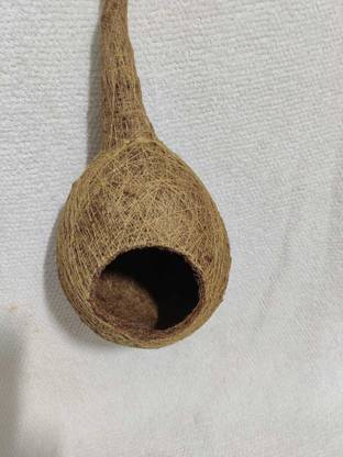 Chidiya Ka Ghosla COAG9YF8FZJR8YYT Bird House Price in India - Buy ...