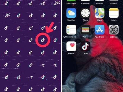 Cute Tik Tok Poster MultiColor PhotoPaper Print (12 inch X 18 inch ...