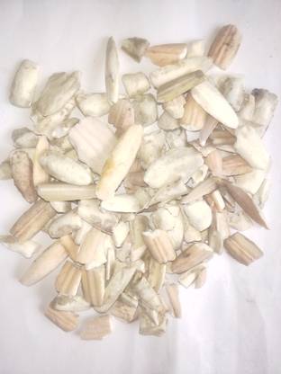 MARVIA Cuttlefish Bone for Birds Lovebirds, Finches Parrots, broken ...