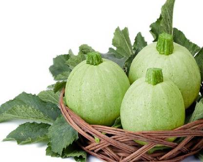 Gromax India CHAPPAN KADDU SEEDS Seed Price in India - Buy Gromax India ...