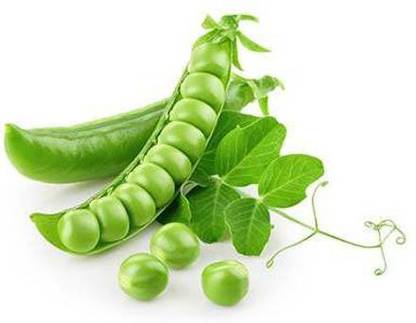 Paudha Organic Green peas (mutter) Seed Price in India - Buy Paudha ...