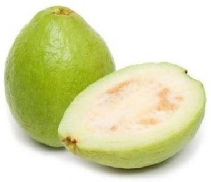 GOROOT Guava, Amrood, Amrud, Psidium, Guajava Seed Price in India - Buy ...