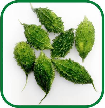 Cera Wares Bittergourd Seed Price in India - Buy Cera Wares Bittergourd ...