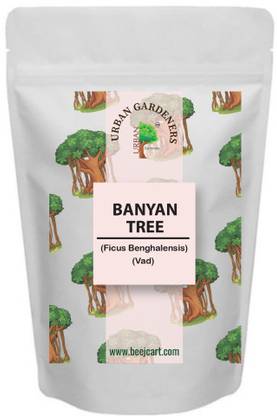 urban Gardeners Banyan Tree Seeds Seed Price in India - Buy urban ...