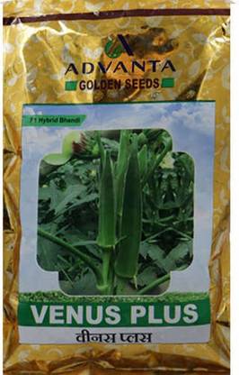 OMOM f1 hybrid upl advanta venus+ ladyfinger Seed Price in India - Buy ...