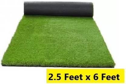 Worthful Creations 1 Piece Artificial Grass Carpet Size: (2.5x6 Feet ...