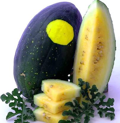 DIOART TARBUJ SEEDS-TR-99997 Seed Price in India - Buy DIOART TARBUJ ...