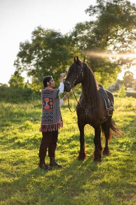 Horse poster & ghoda poster & animals POSTERS Waterproof Vinyl Sticker ...