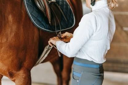 Horse poster & ghoda poster & animals POSTERS Waterproof Vinyl Sticker ...