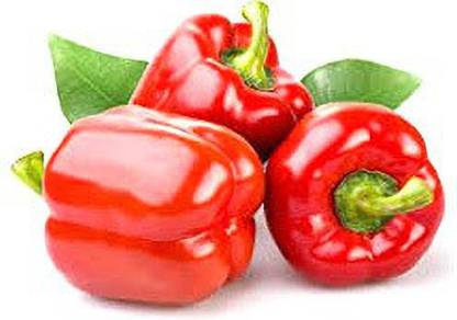 Paudha Capsium red Seed Price in India - Buy Paudha Capsium red Seed ...