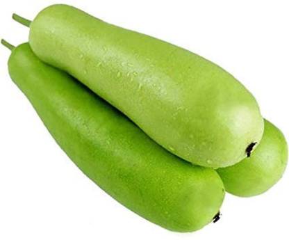 SimXotic Bottle Gourd (Loki) Vegetable Seeds - Pack of 30 Seeds Open ...