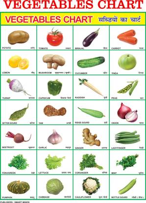Vegetables Chart For Kids | 20x30Inch (51x76cm)| Laminated chart ...