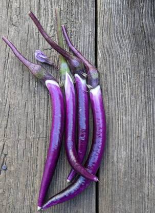 UGRA Chinese String Eggplant Seed Price in India - Buy UGRA Chinese ...