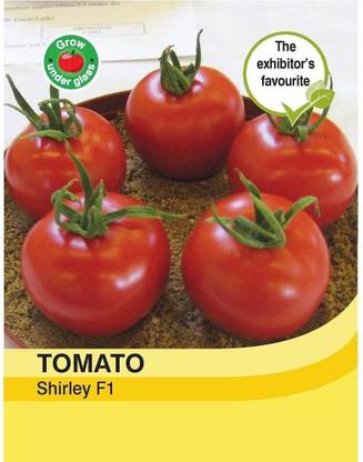 Biosnyg Vegetables - Tomato Shirley F1 Hybrid 10gm Seeds Seed Price in ...