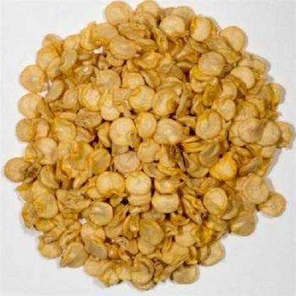 Biosnyg Hot Rare Red Bird Eye Chilli - Kanthari Mulaku, Thai Pepper ...