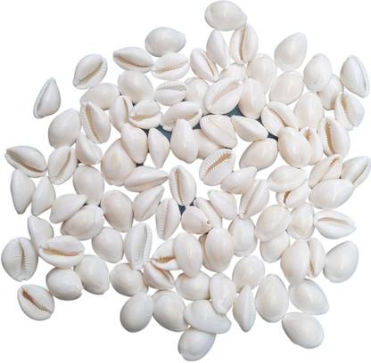 Maitri Export Koudi Kawdi/Kaudi/Cowrie/Kowdi for Vastu Laxmi Diwali ...
