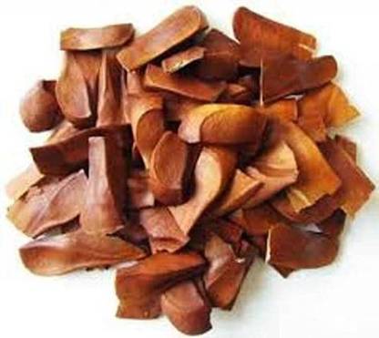 SRI SAI FORESTRY Sky Fruit Seeds, Adavi Badam Seeds for Diabetes Seed ...