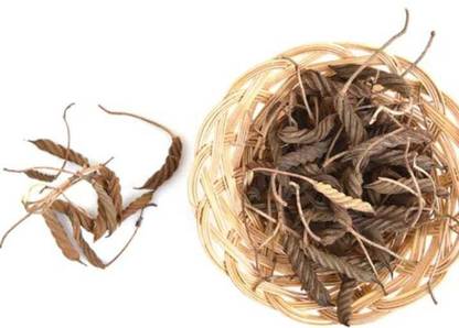 plantsworld Mardashingi, Screw Fruit, Helicteres isora, Marod Fali Seed ...