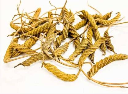 Pioneer Natural Mardashingi, Screw Fruit, Helicteres isora, Marod Fali ...