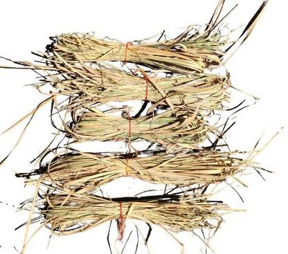 RUKDA Dharbha Grass/Dharbha pul/Kusha Grass for Pooja and Havan - Pack ...