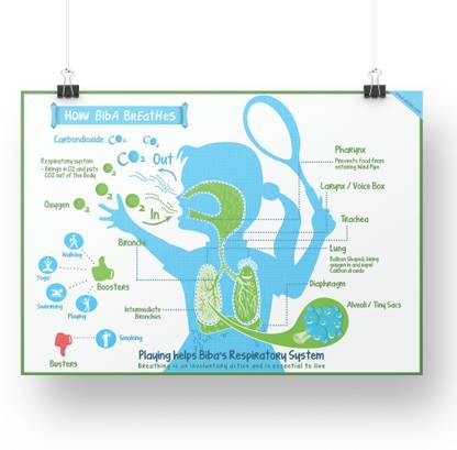 Science Poster for Kids - Respiratory System - Size A3 - 11.7 X 16.5 ...