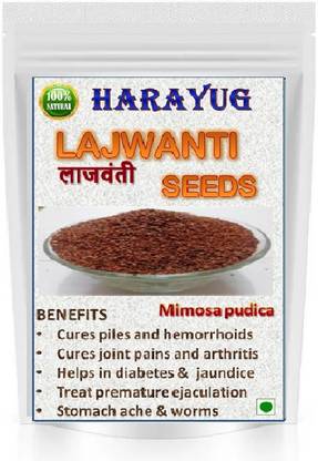 HARAYUG LAJWANTI SEEDS - LAJVANTI BEEJ - CHUI MUI - MIMOSA PUDICA Seed ...