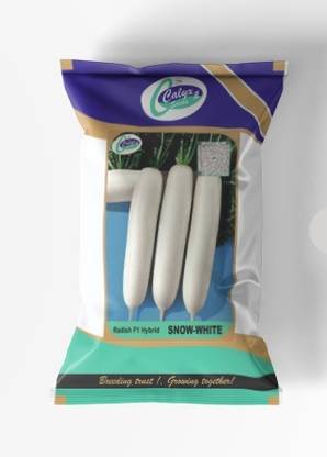 CALYXSEEDS SNOW WHITE, F1 HYBRID RADISH, HYBRID RADISH, HYBRID MOOLI ...