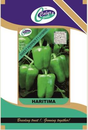 CALYXSEEDS : HARITIMA, F1 HYBRID CAPSICUM, HYBRID SWEET PEPPER, HYBRID ...