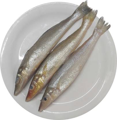 Big MeatMart sea Lady Fish/Kane - (Cleaned) Whole 500 g Price in India ...