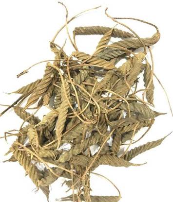 Yazhini Nature Life Dry Valampuri Kaai / Helicteres isora Seeds ...