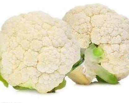 ANDOR Cauliflower Phool Gobhee/Phul Gobhi Seed Price in India - Buy ...