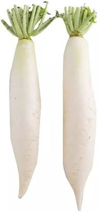 VINTI Mooli radish Vegetable Seed Price in India - Buy VINTI Mooli ...