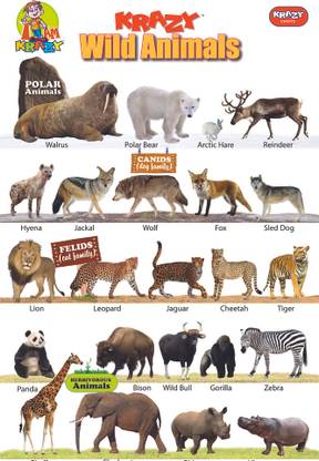 Mind Wealth Krazy Wild Animals Chart Price in India - Buy Mind Wealth ...