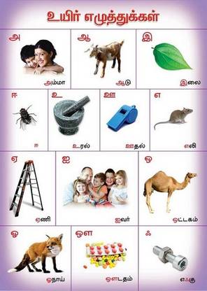 Alphabetical Chart in Tamil Paper Print - Educational posters in India ...